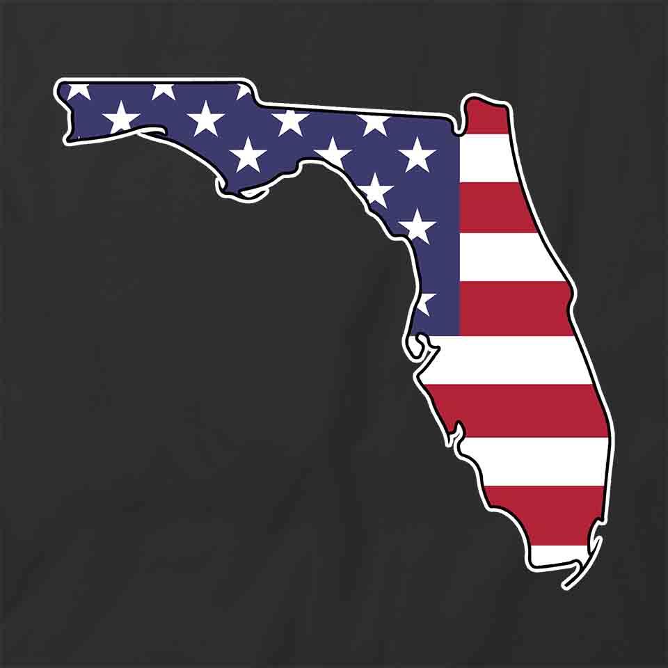 Florida American Flag T-Shirt | Patriotic American Black Tee Gift ...